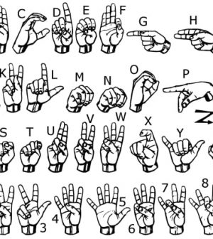 Evolution of Arduino Infographics - Open Electronics - Open Electronics